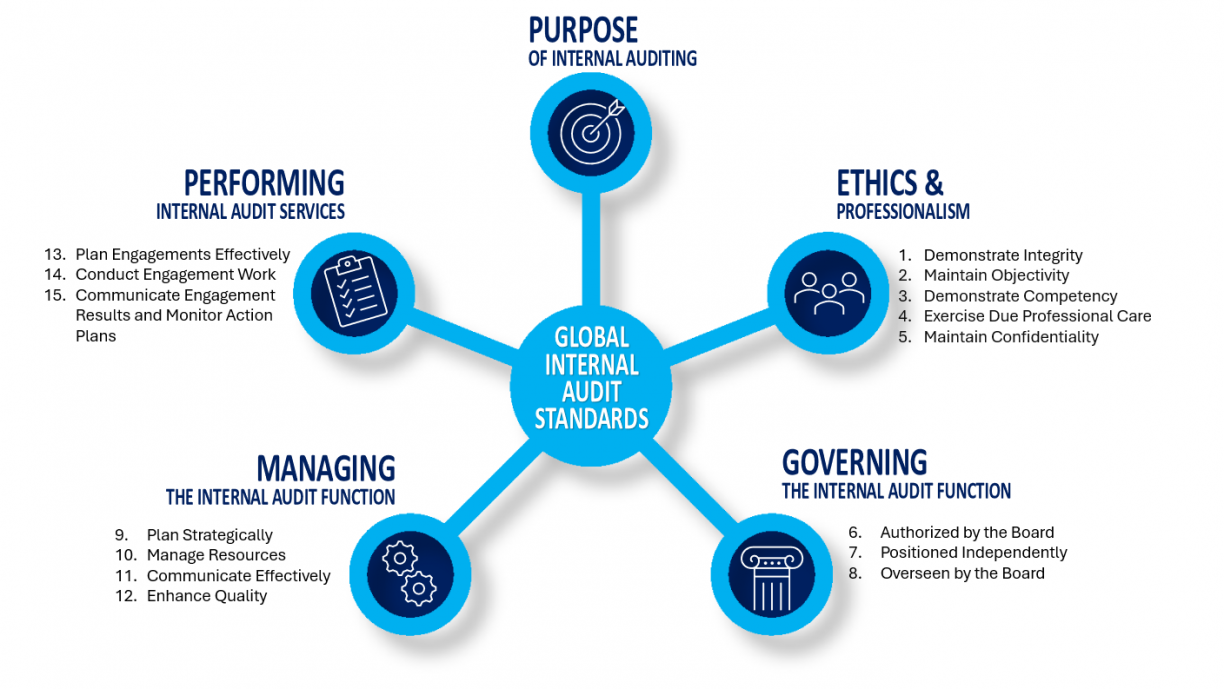 New 2024 Internal Audit Standards: Insights for CAEs